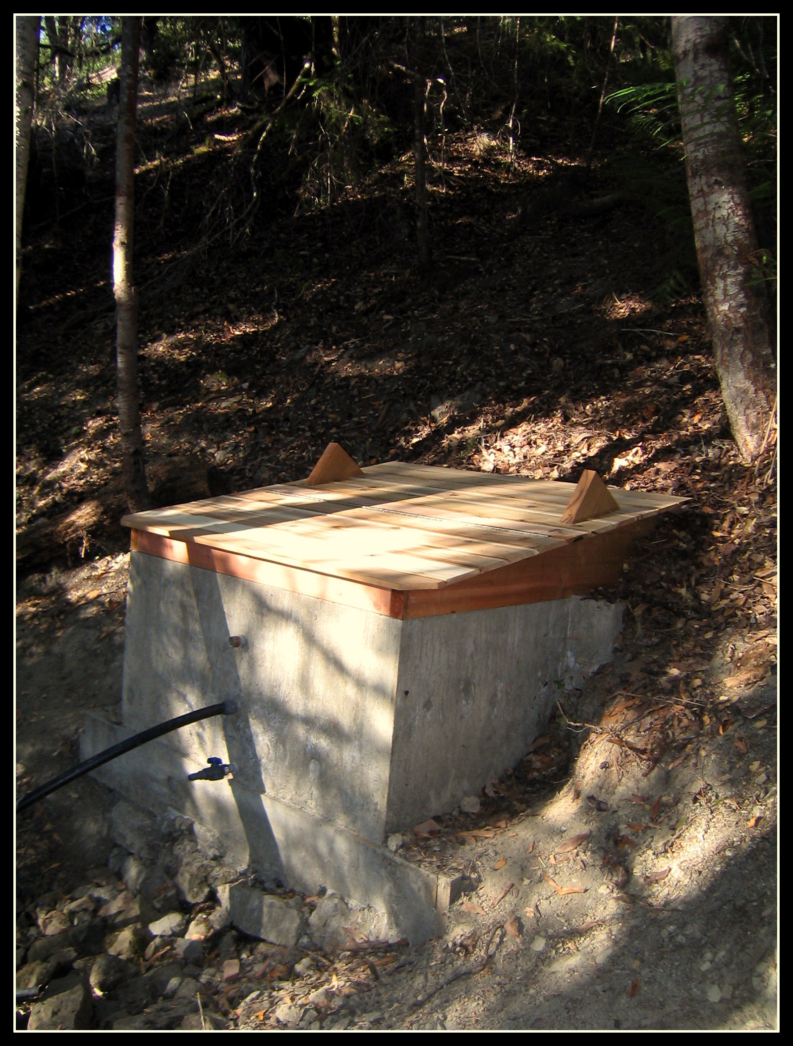 Other Construction Projects | High Mountain Arborist